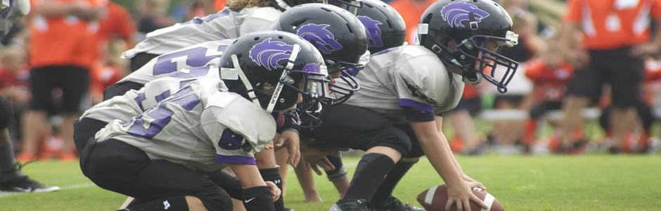 About Us - Avalon Wolves - Back The Pack